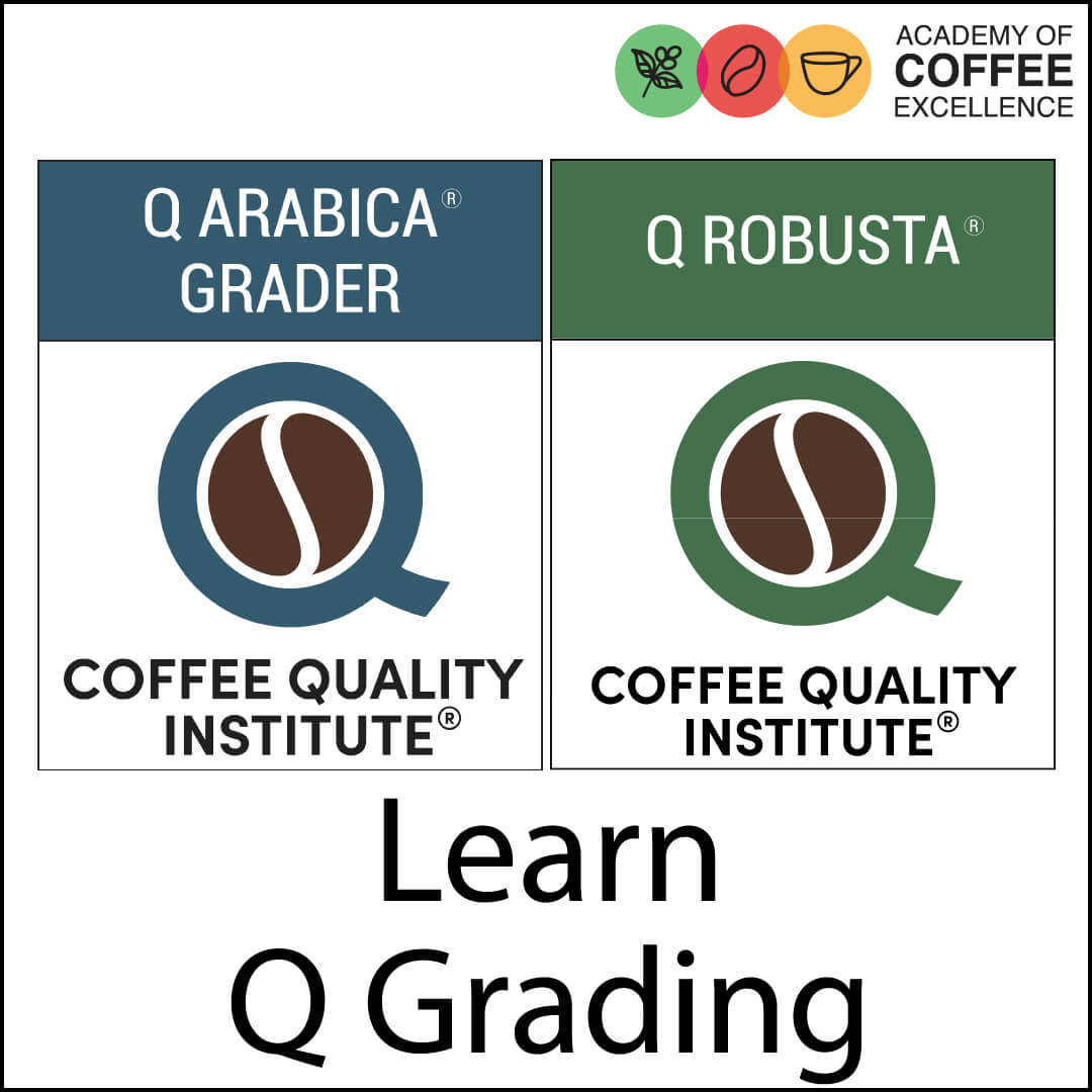 Learn Arabica & Robusta Q Grading– Academy of Coffee Excellence